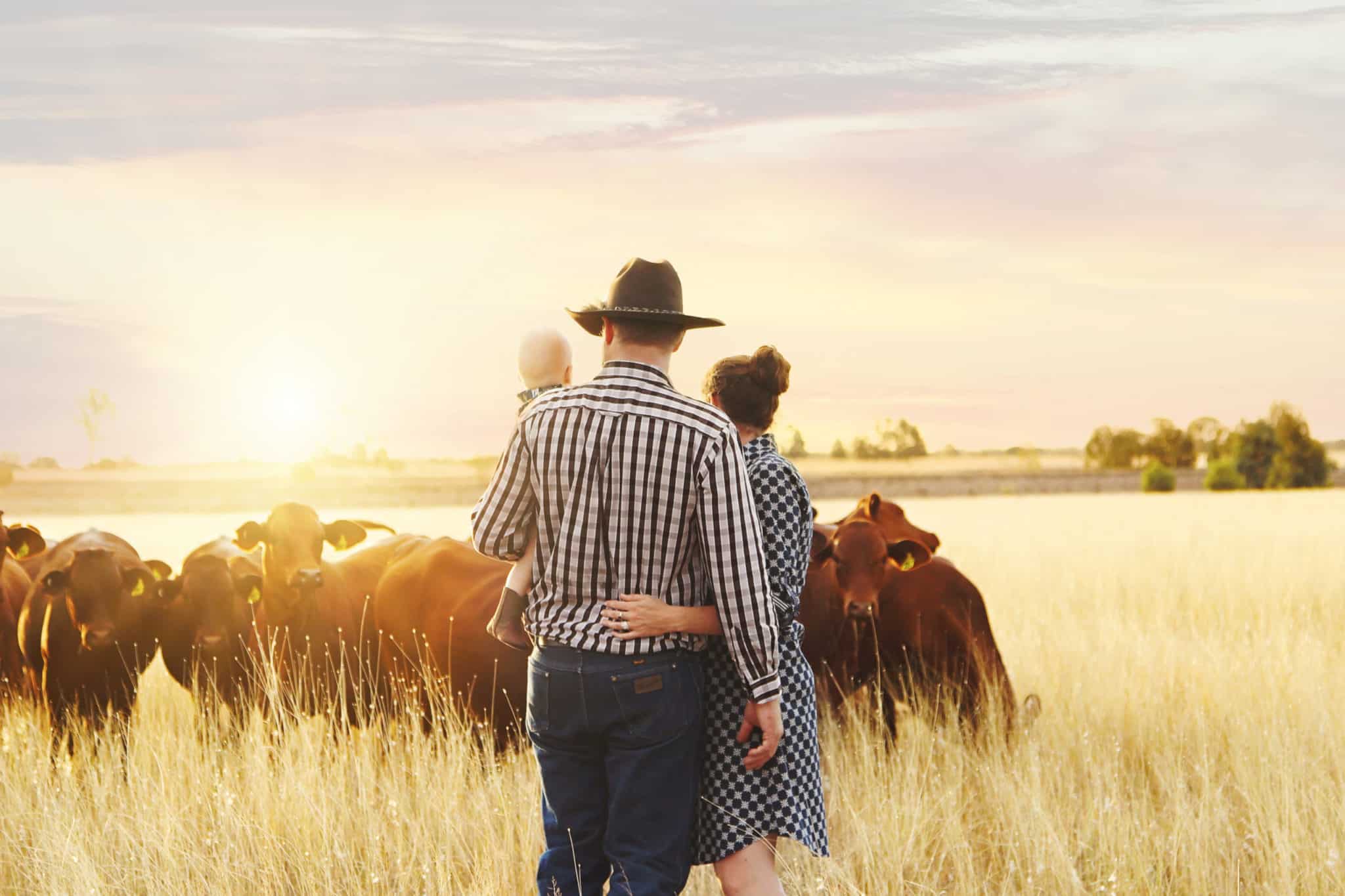 About Us - Farm Angels